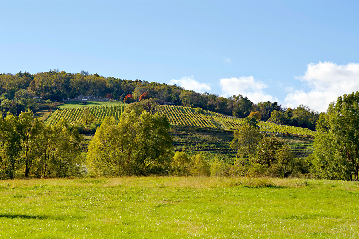 Bluemont - Loudouner