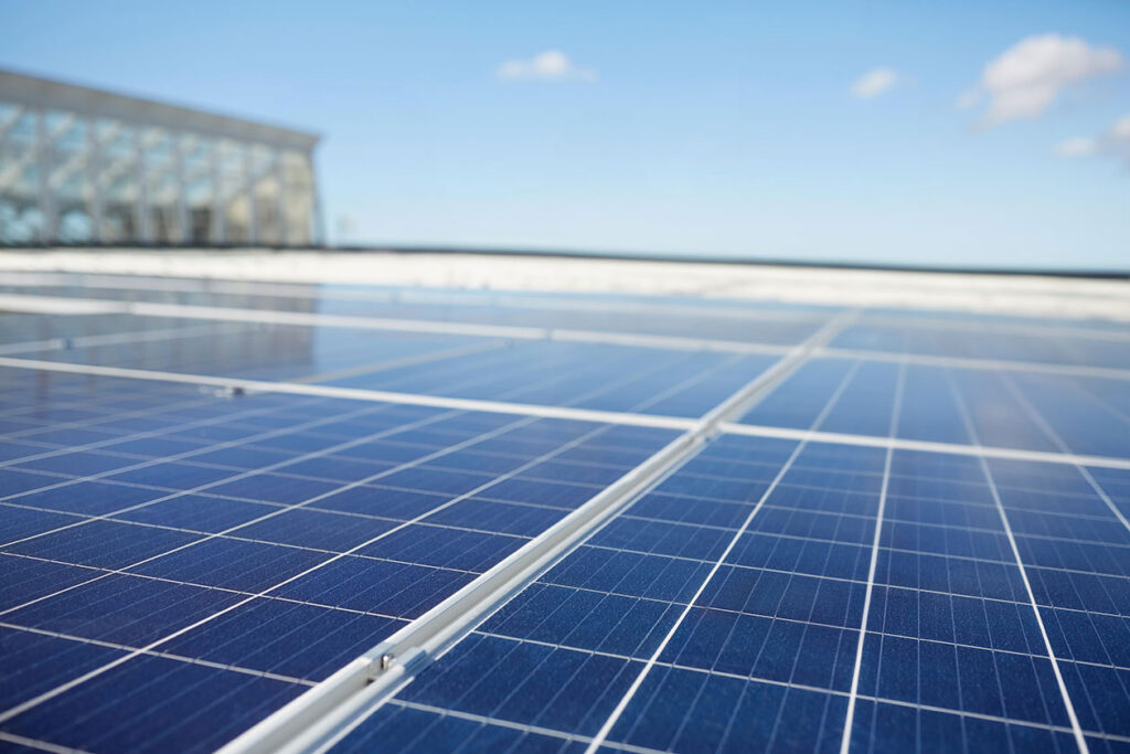 Recycling - Loudouner