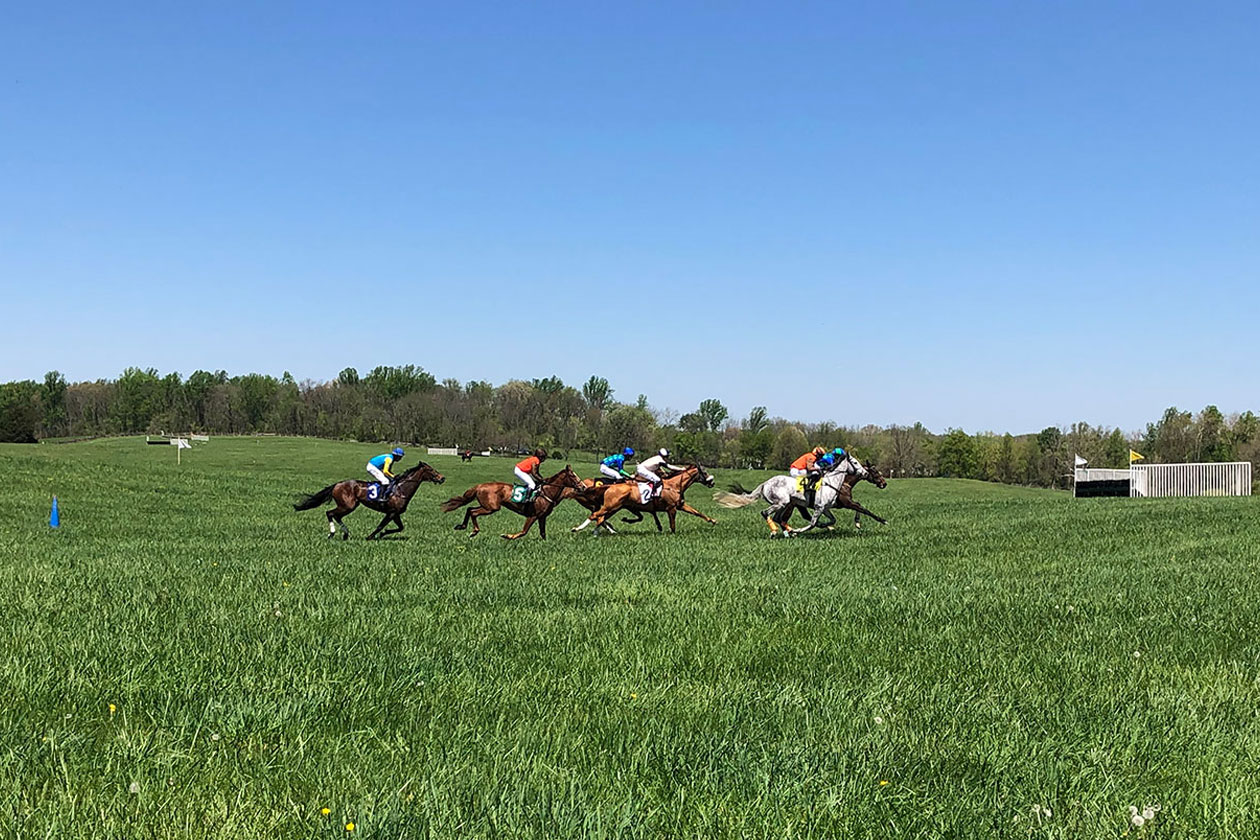 Spring 2025 Events & Activities Around Loudoun County